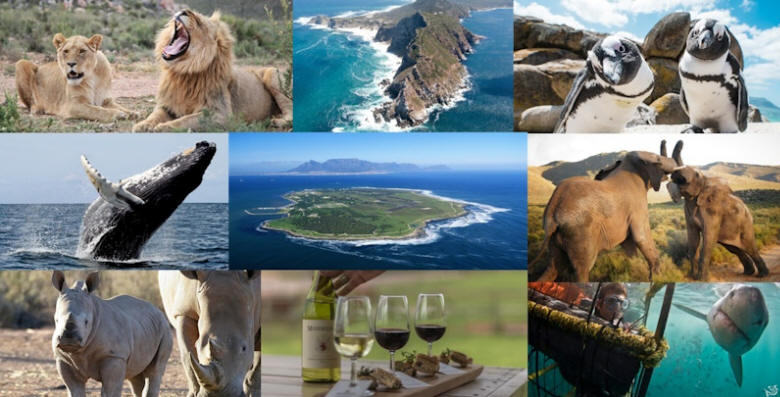 FIG Congress 2026 - Programme at a Glance